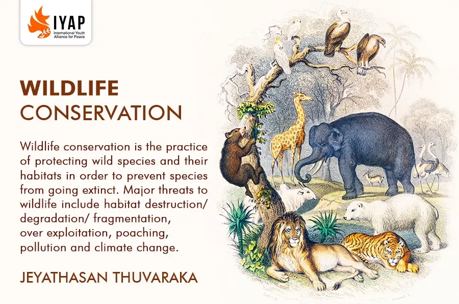 WILDLIFE CONSERVATION | The Bloggers Collective | International Youth ...